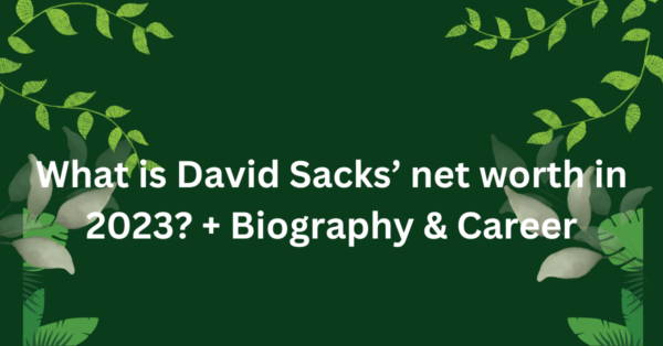What is David Sacks’ net worth in 2023? + Biography & Career - letme ...